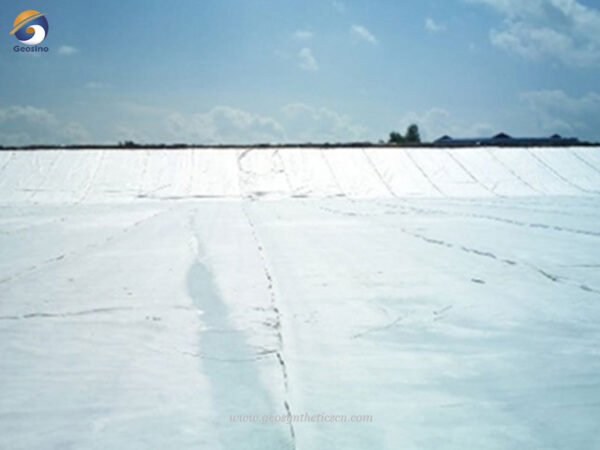 Drainage Net - Composite Drainage Net，Composite Geonet